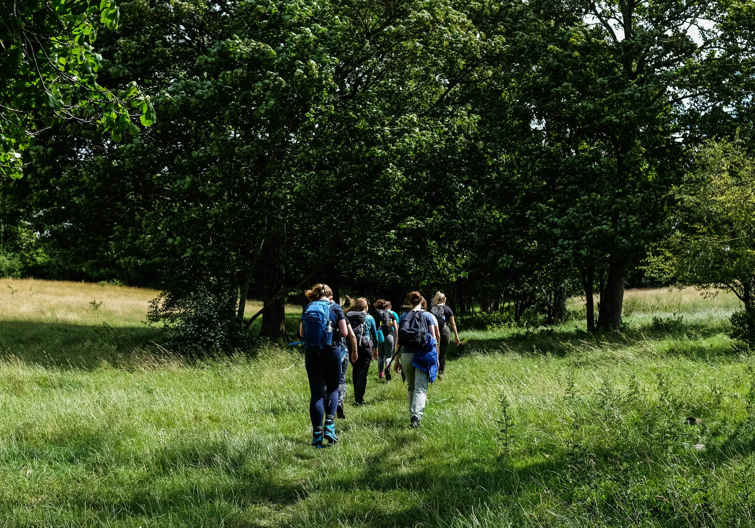 Chess River Circular Walk – 11 Mile (17km) — Walk Wild