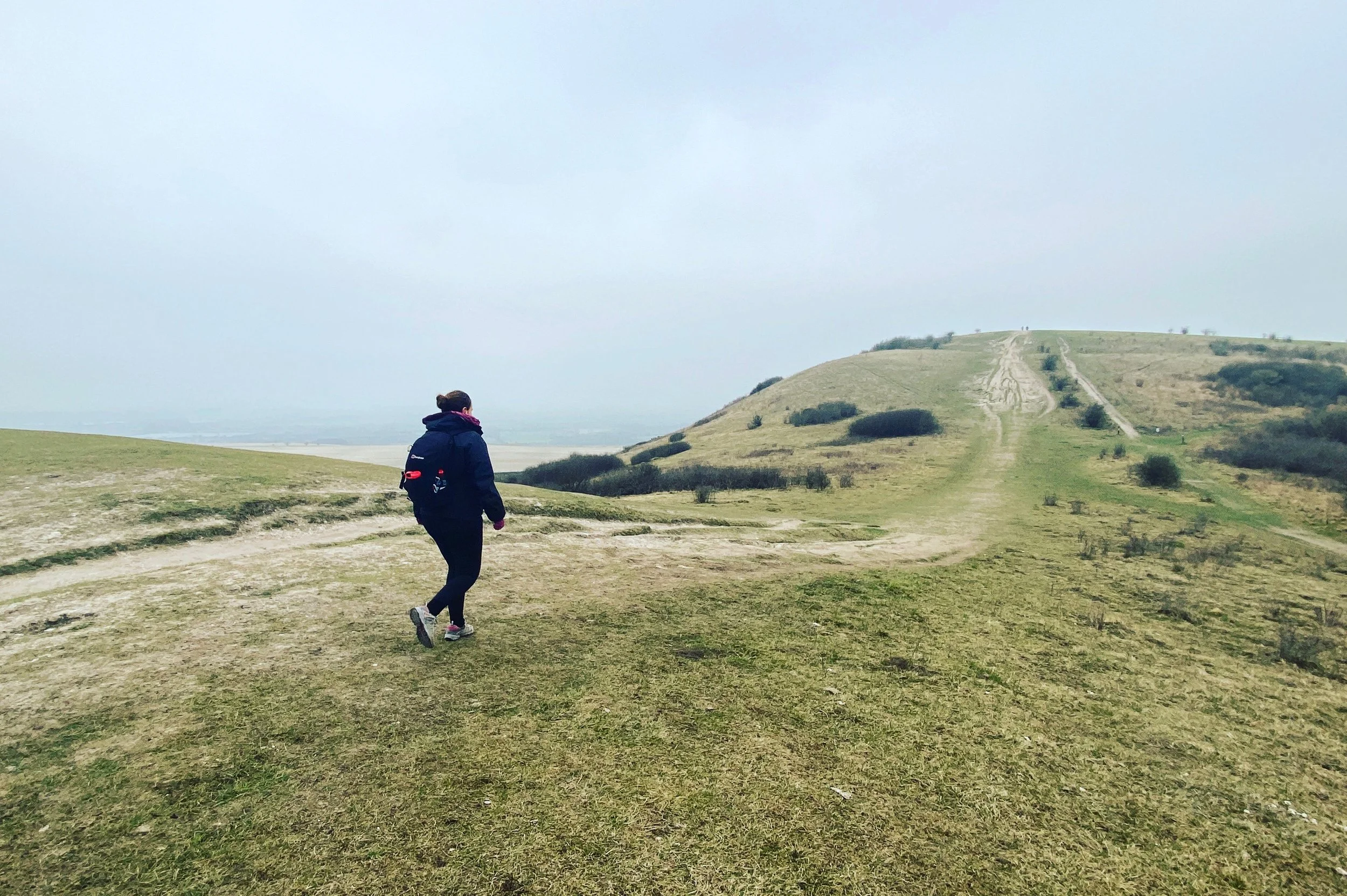 Berkhamsted to Ivinghoe Beacon Loop Walk 17 miles (26km) — Walk Wild
