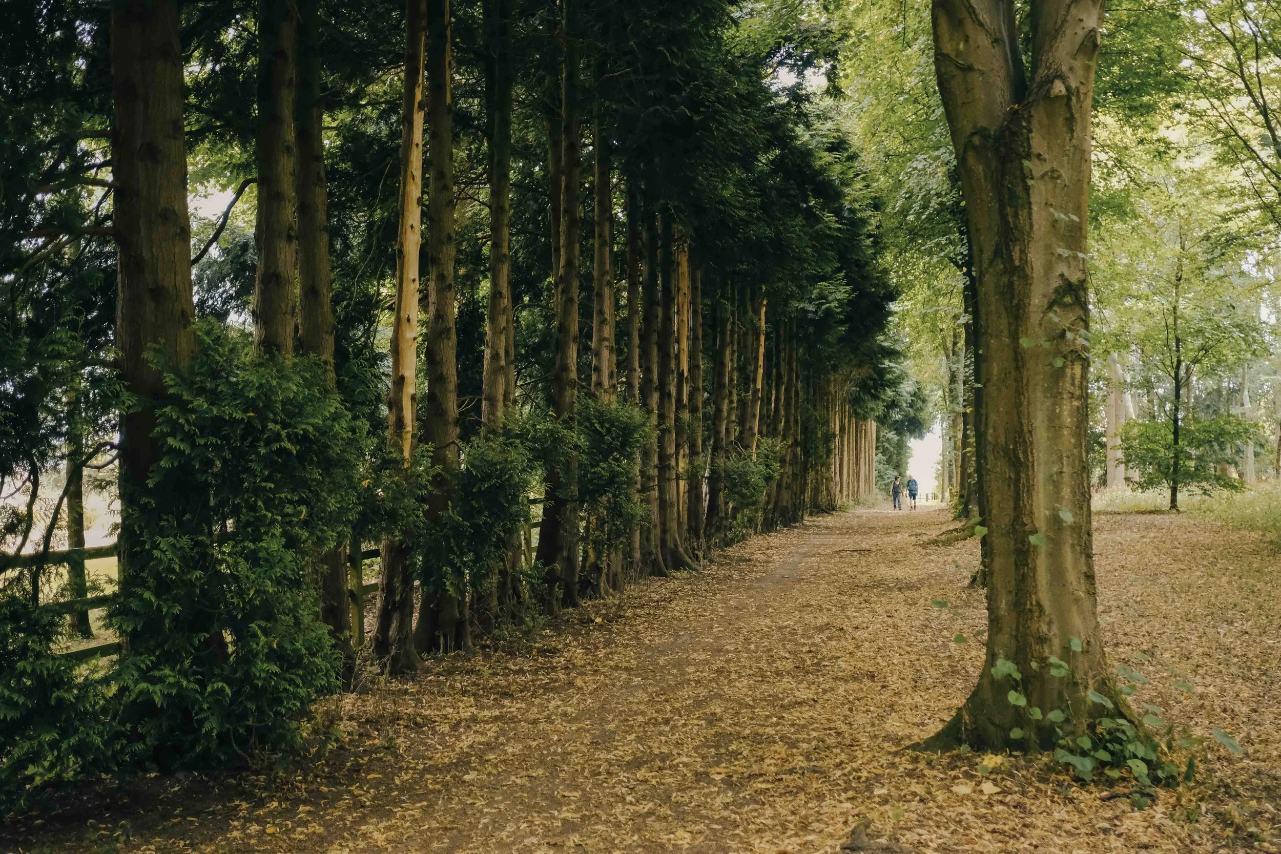 Chess River Circular Walk – 11 Mile (17km) — Walk Wild