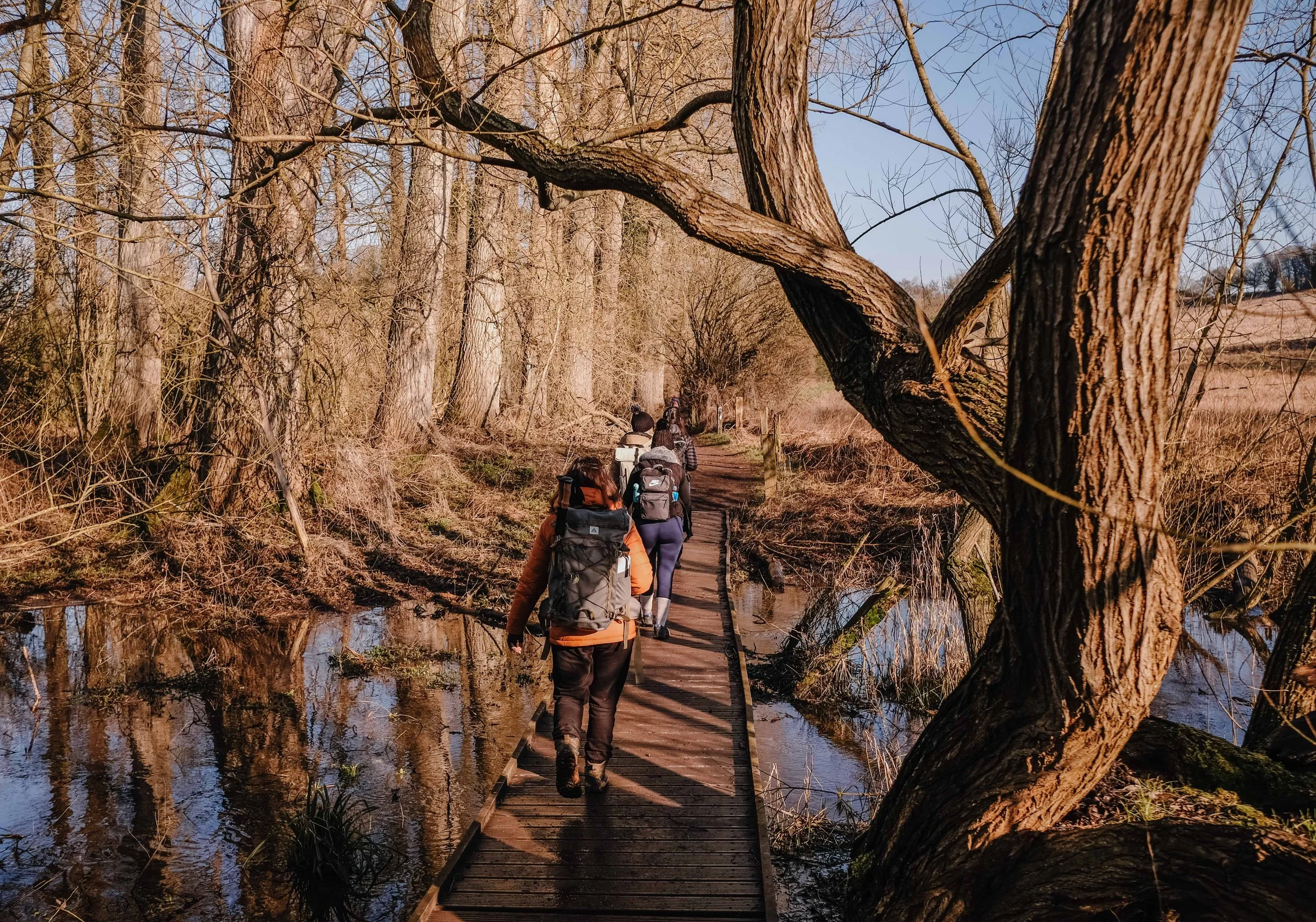 Chess River Circular Walk – 11 Mile (17km) — Walk Wild
