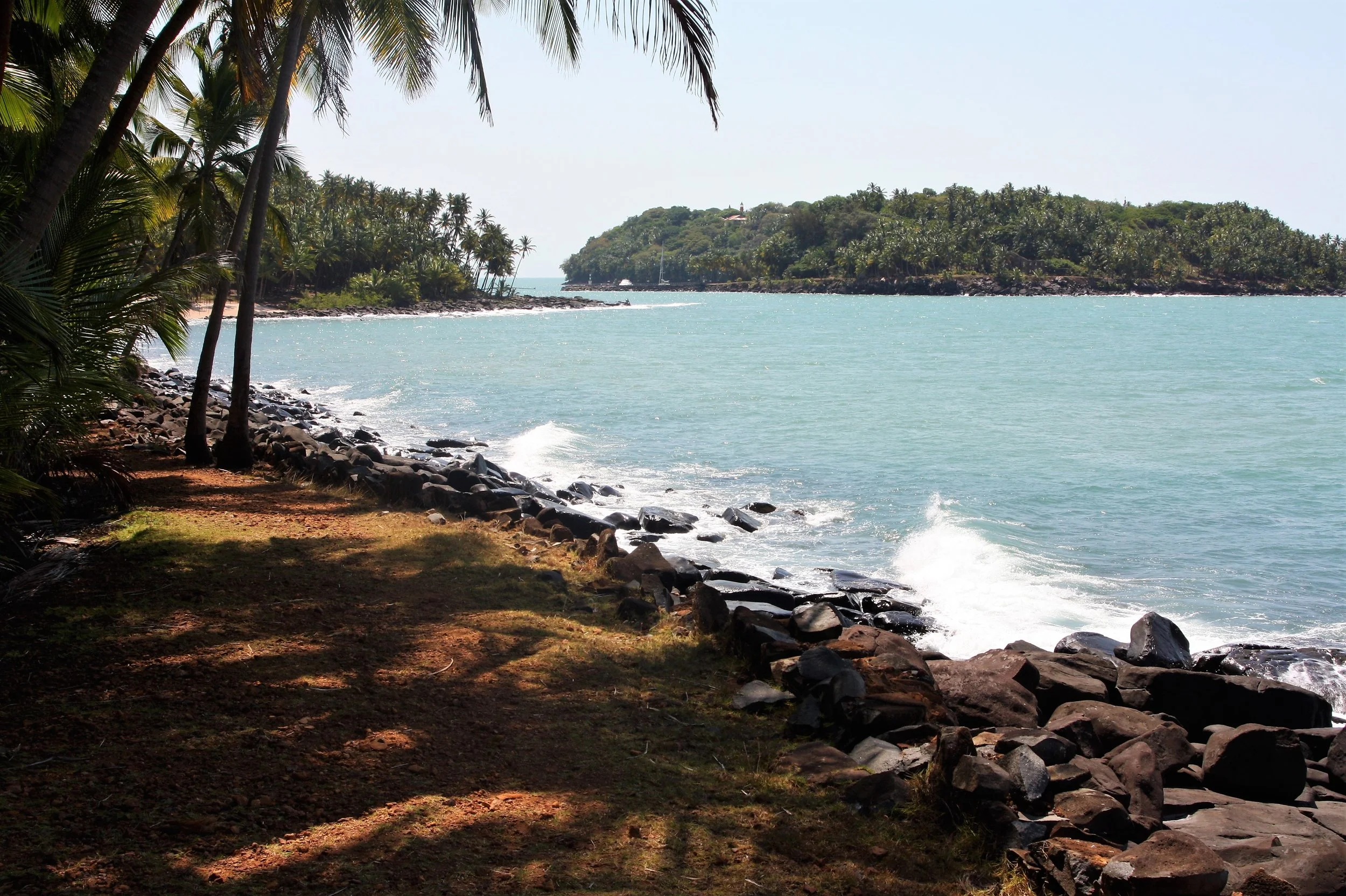 14 Days Suriname, Guyana, French Guiana — Pristine Rainforest Tours