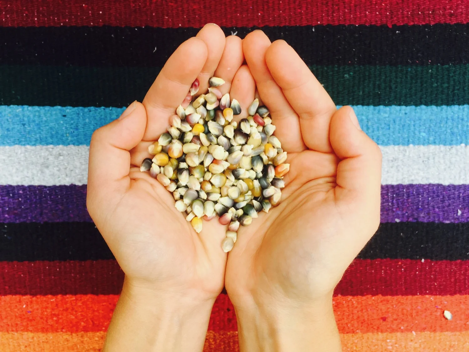 Seeds Trust, High Altitude Gardens