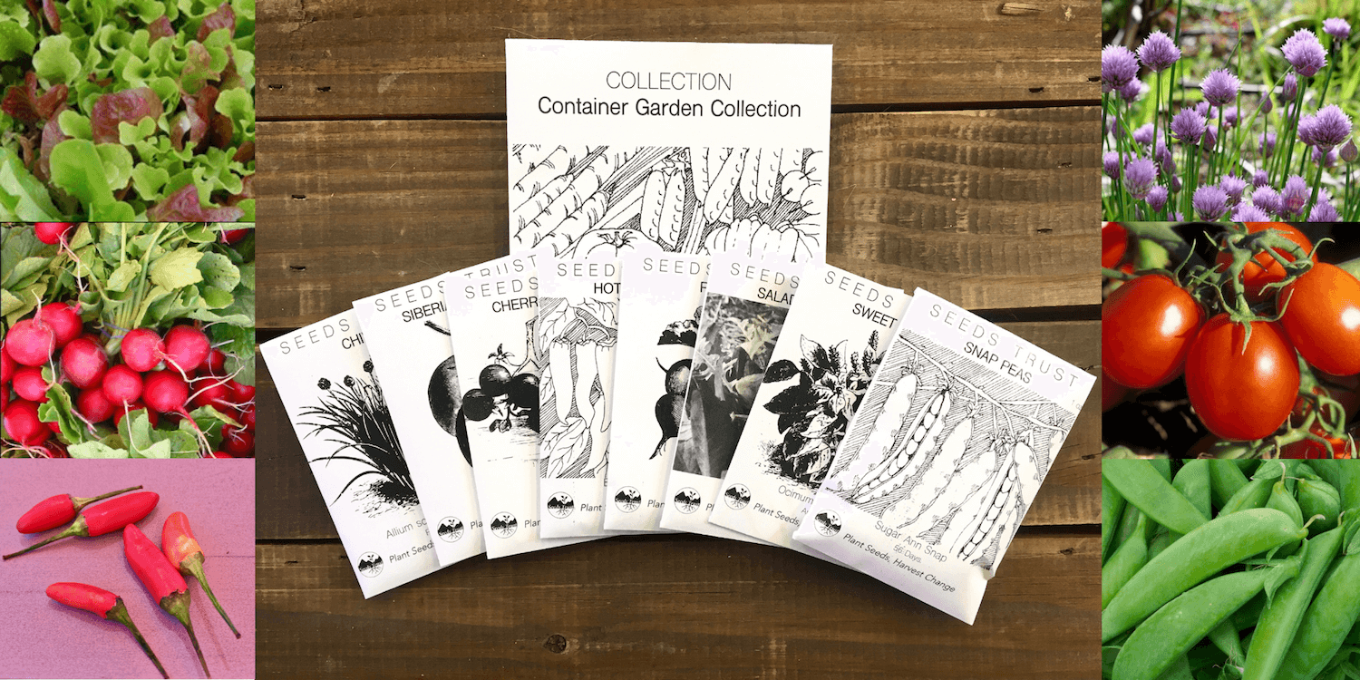 Container Garden Collection — Seeds Trust