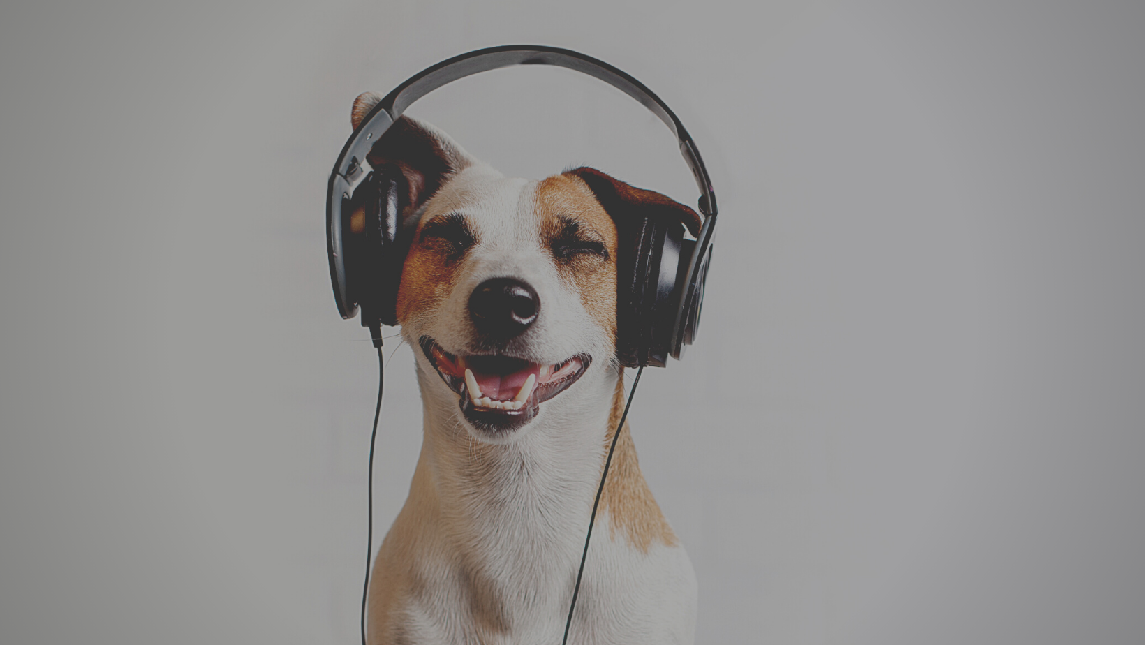 Boma | Lead the way.