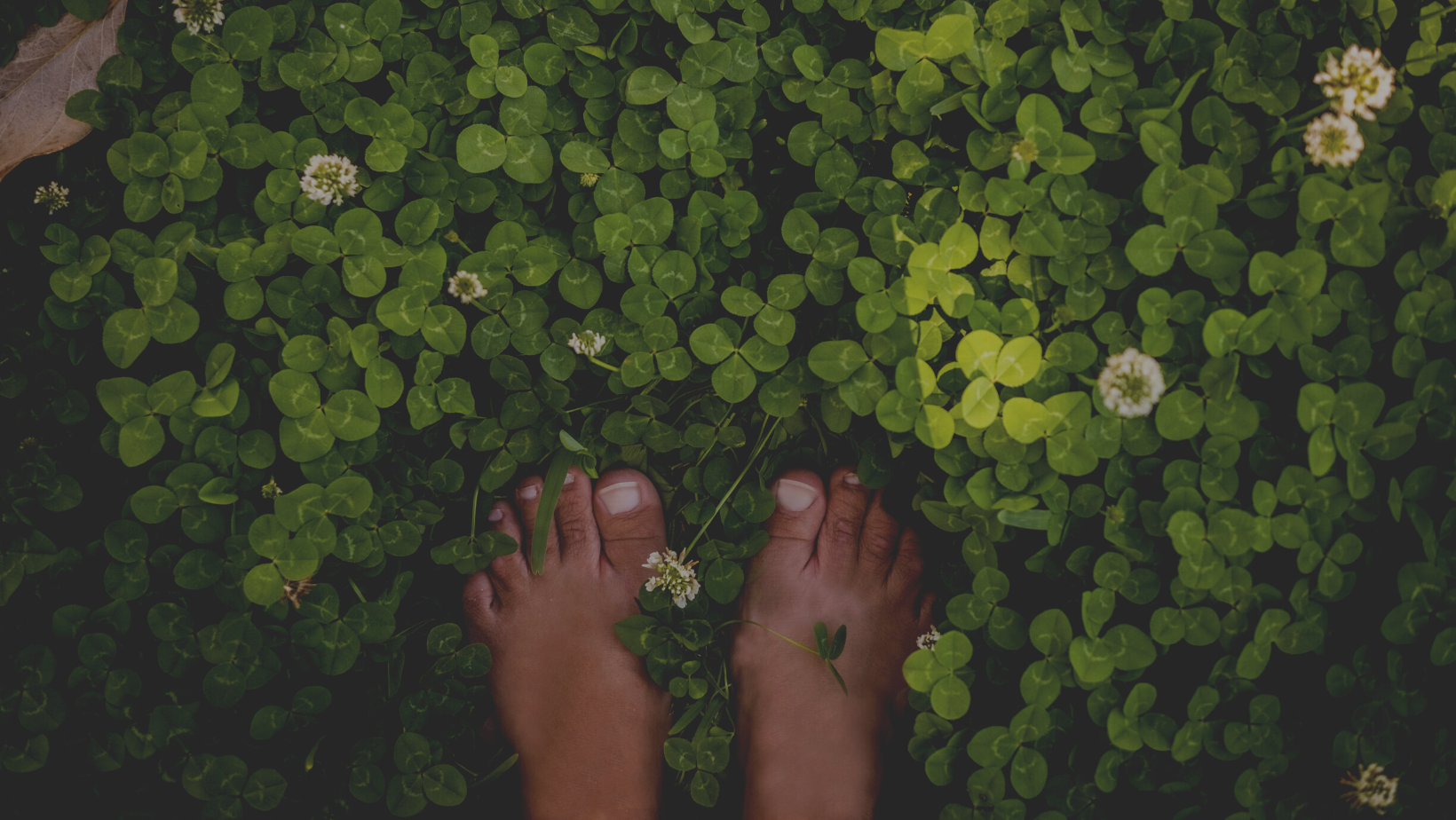 Boma | Lead the way.