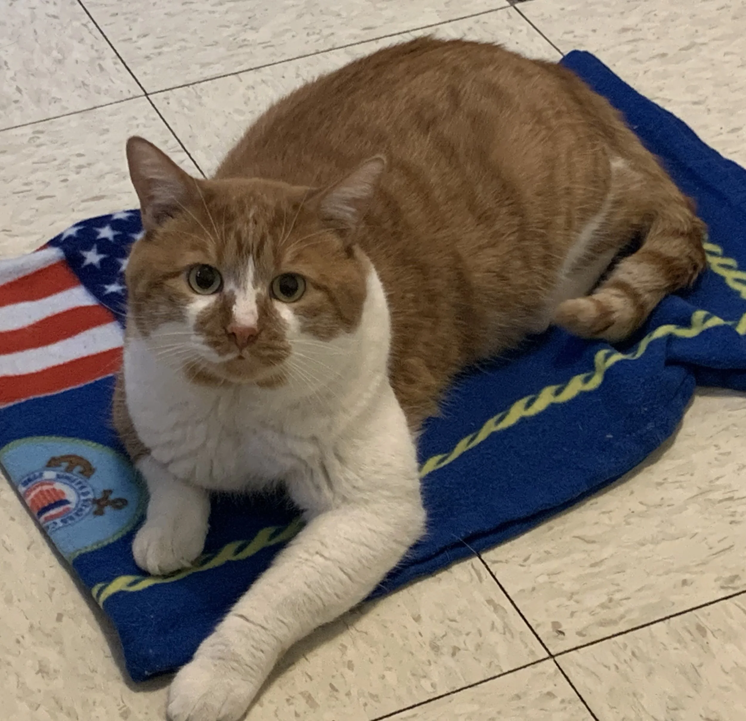 Eva Burrell Animal Shelter