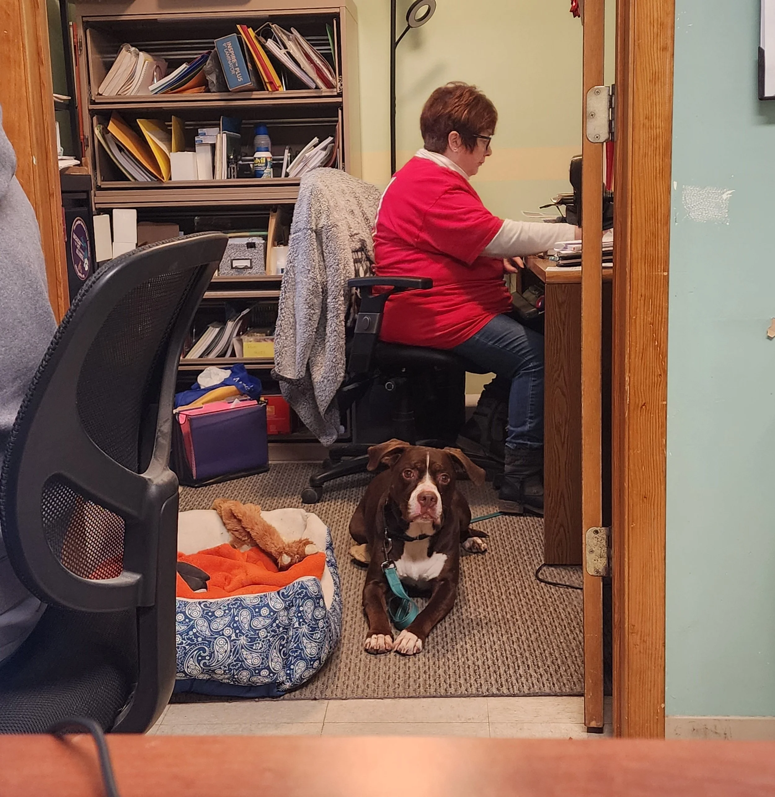 Eva Burrell Animal Shelter