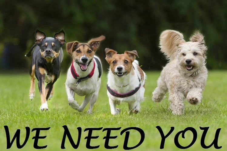 Eva Burrell Animal Shelter