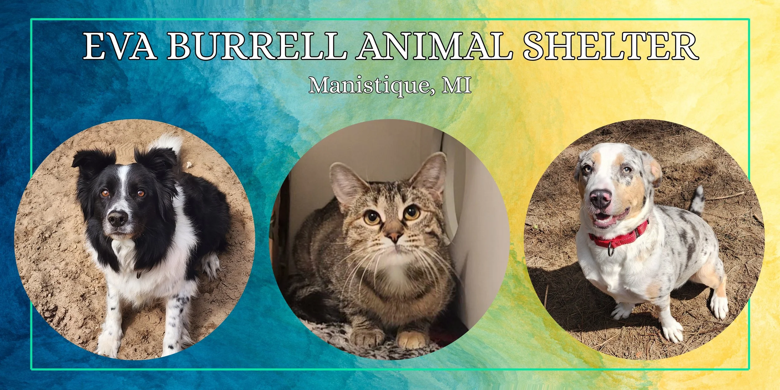 Eva Burrell Animal Shelter