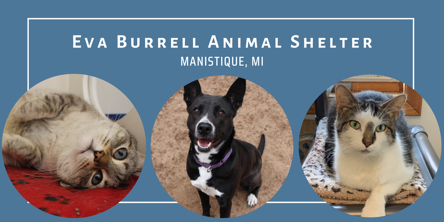 Eva Burrell Animal Shelter