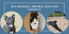 Eva Burrell Animal Shelter