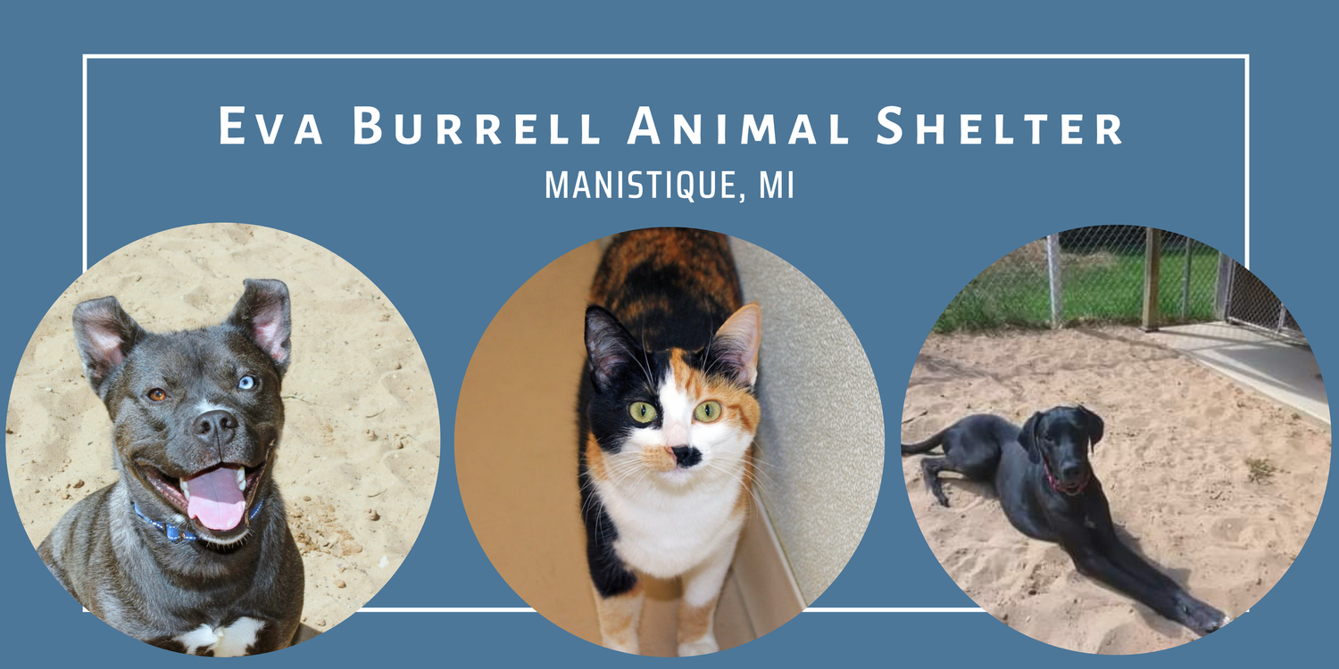Eva Burrell Animal Shelter