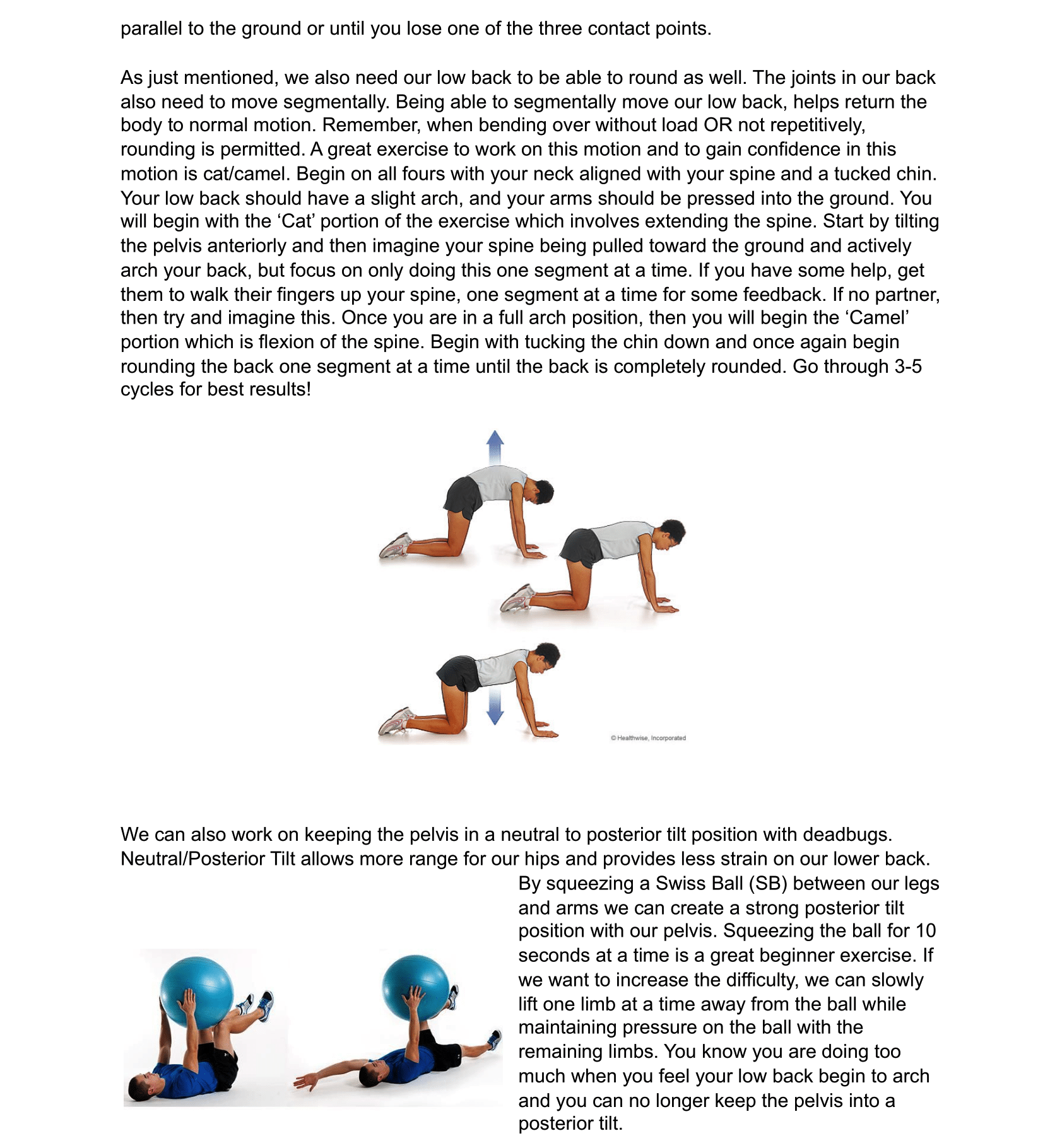 Overuse Injuries - Low Back — Blended Athletics