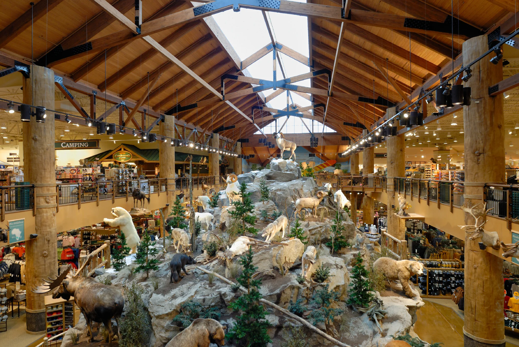 Project Portfolio — Createk Inc.