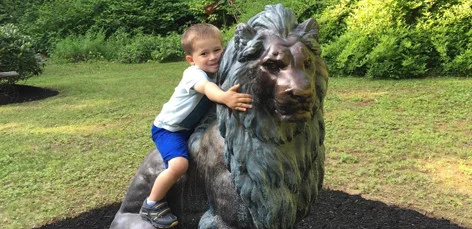 Animal Reproductions — Createk Inc.