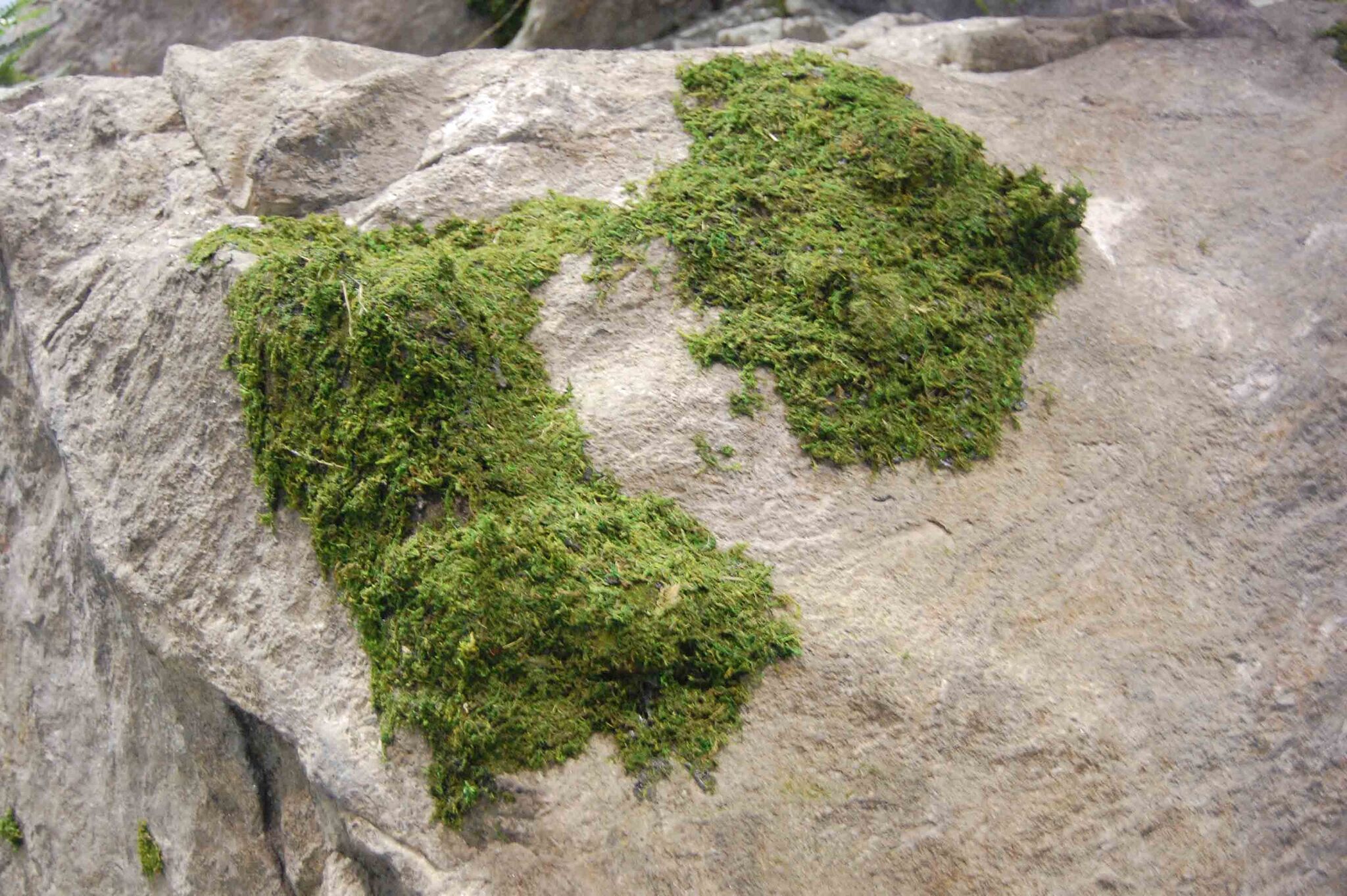 AboutUs — Createk Inc.