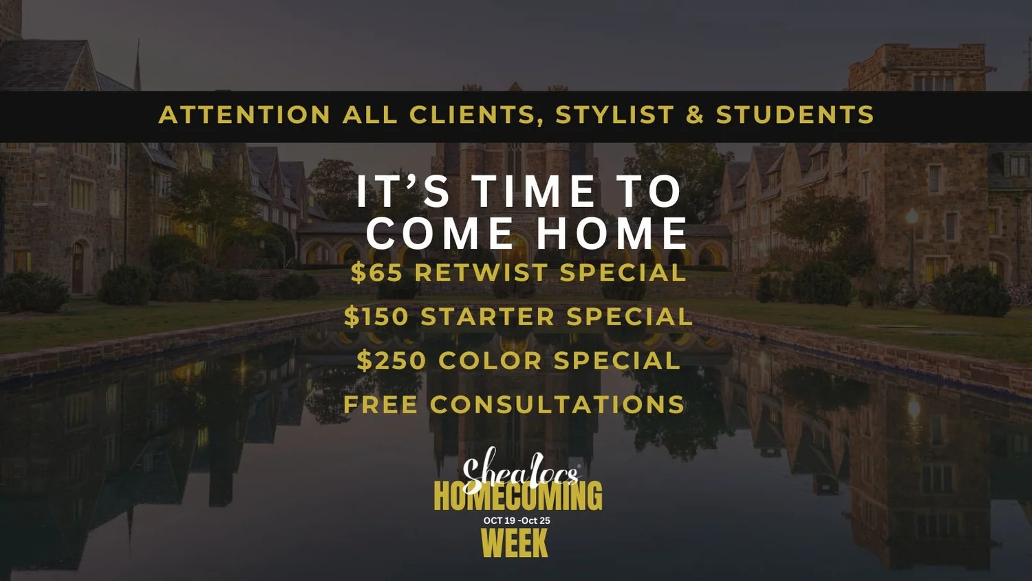 Atlanta Natural Hair Salon I Starter Locs I Loctician I Loc Extensions ...