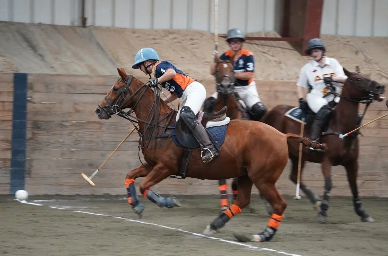 Prospective Students — Virginia Polo