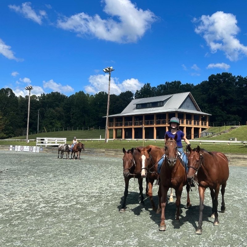 Prospective Students — Virginia Polo