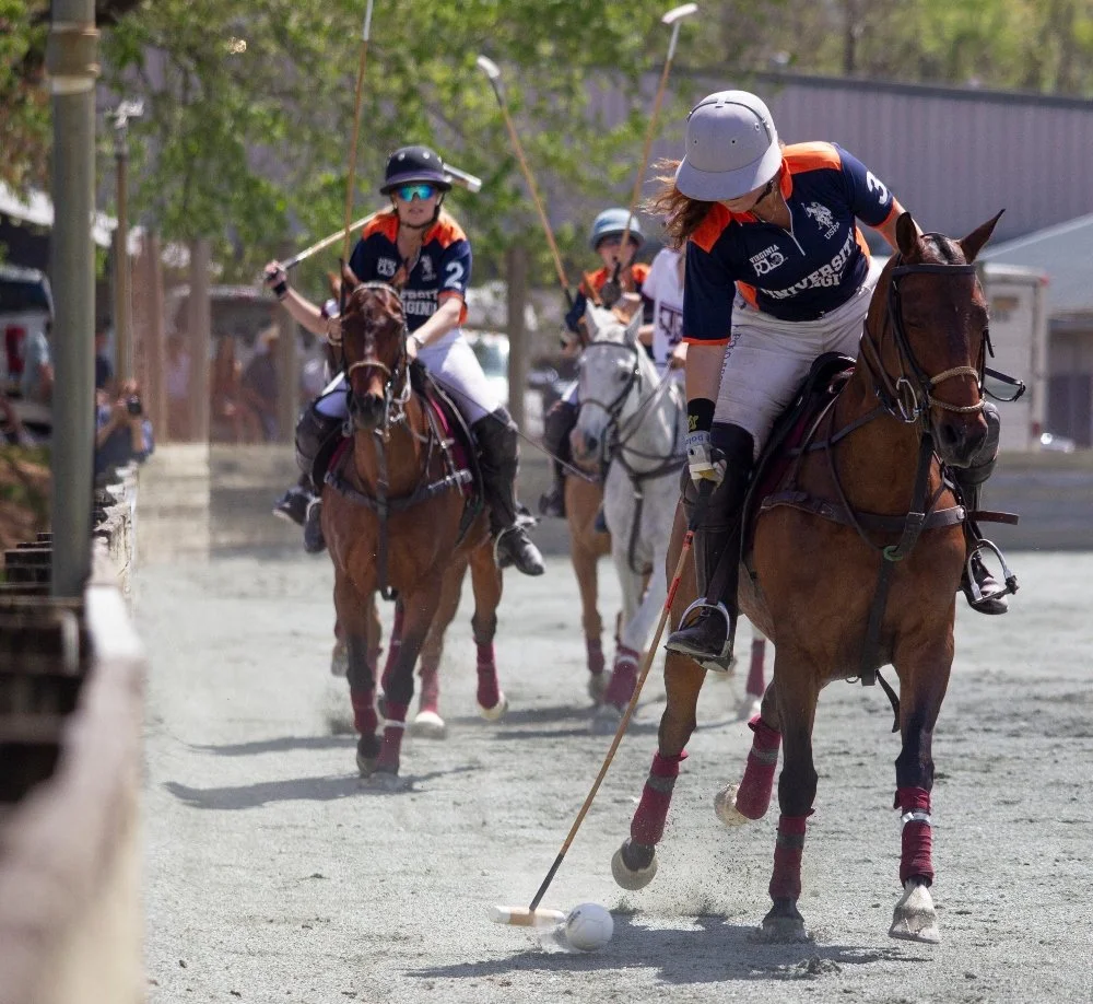 Announcing Virginia Polo's New Outdoor Arena: the Holden Arena ...