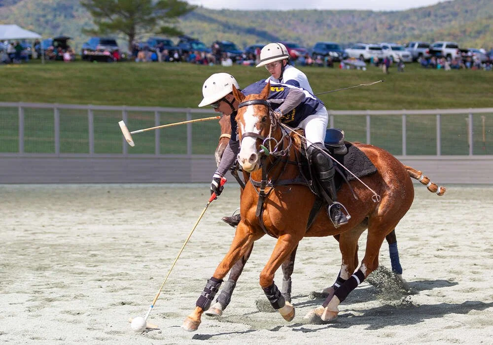 USA SET TO HOST 2025 FIP ARENA WORLD POLO CHAMPIONSHIP- Virginia Polo ...