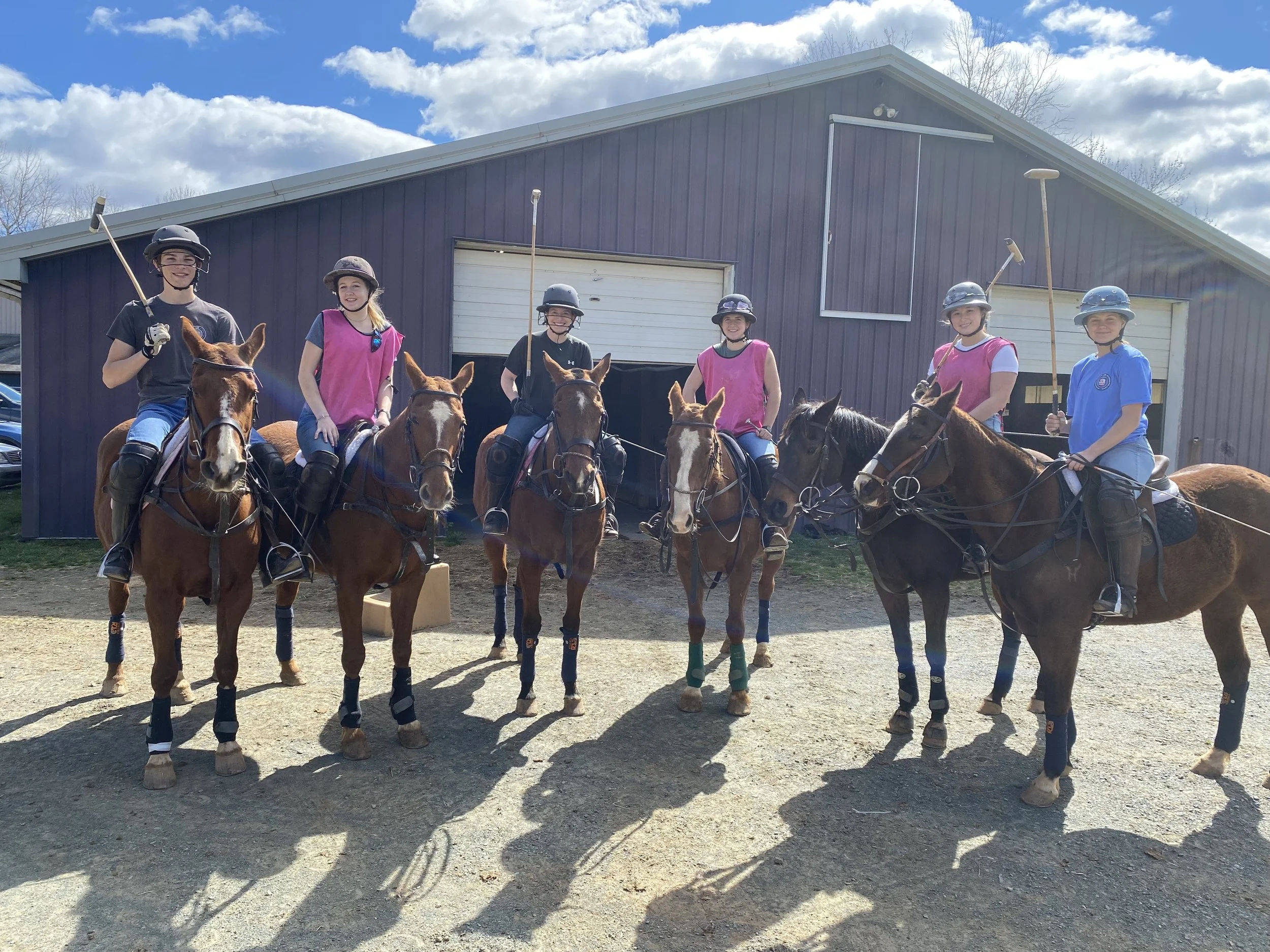 Virginia Polo