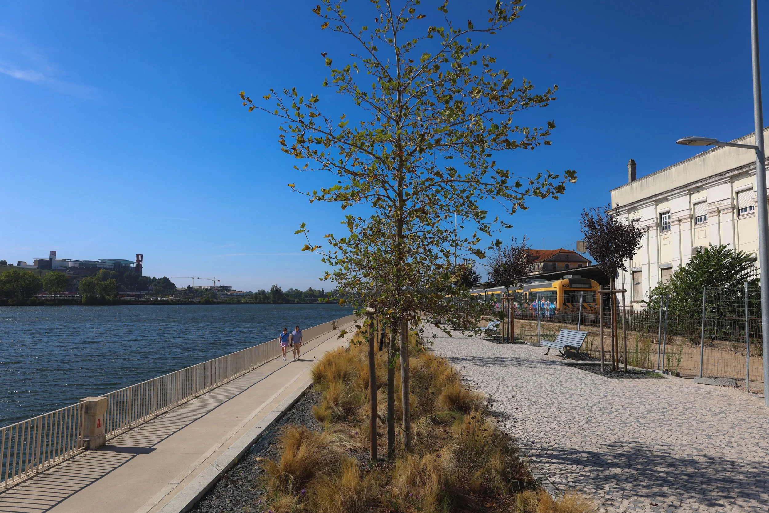 Todos os concertos marcados para 2024 em Coimbra (em atualização ...