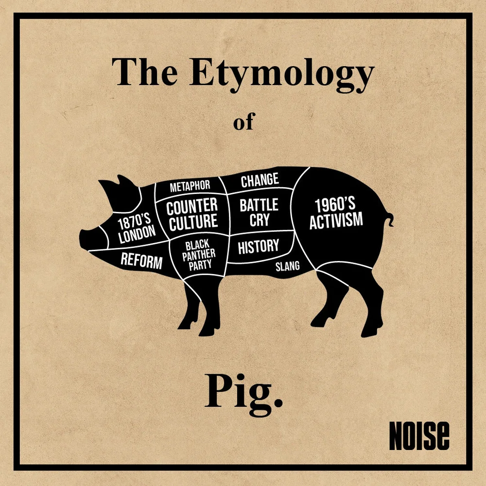 A Brief History of the Word Pig as Slang for Police — NOISE