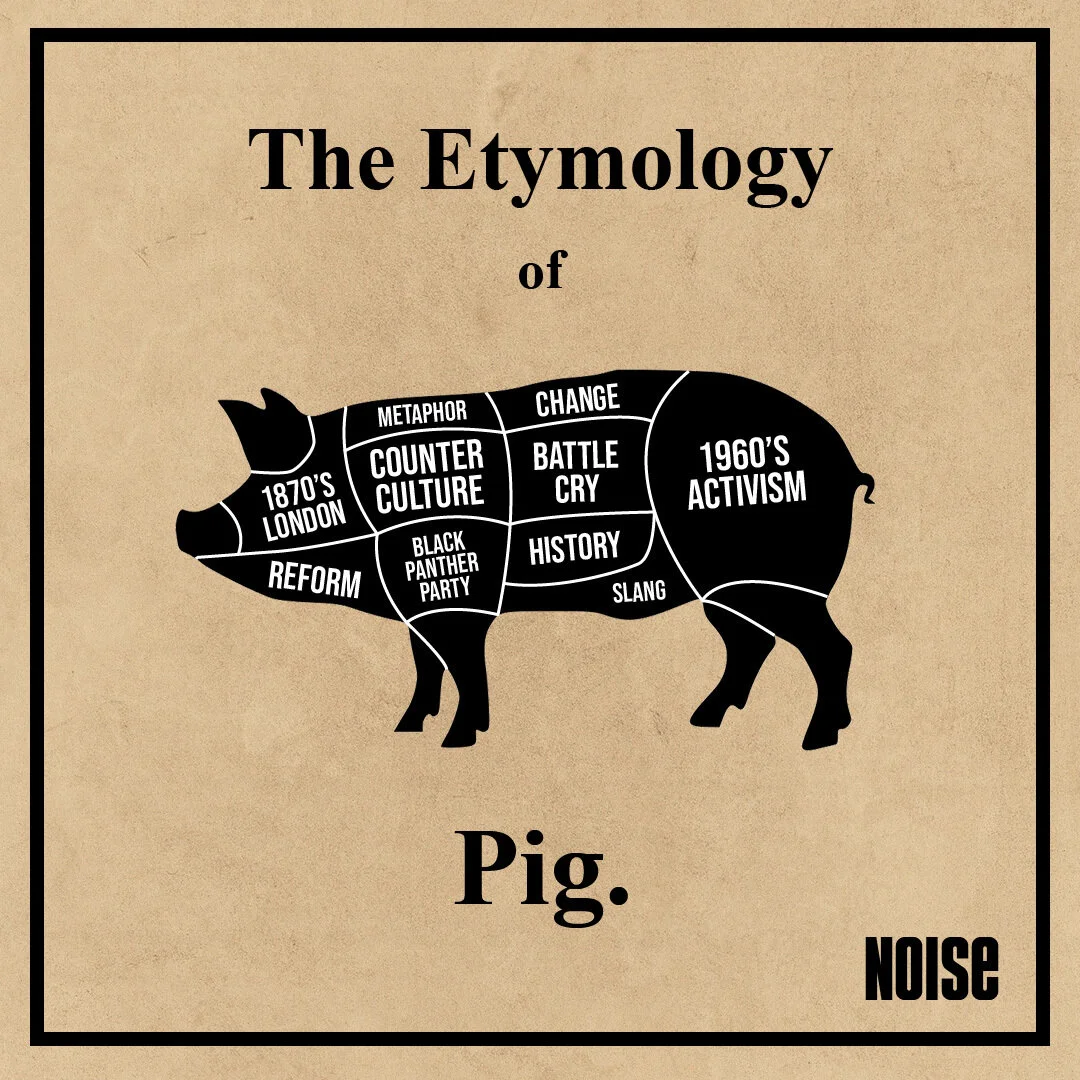 A Brief History of the Word Pig as Slang for Police — NOISE