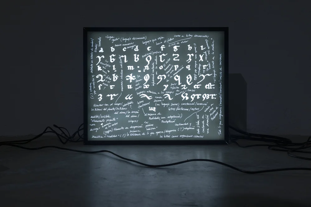 letters to unknown letters — lucía hinojosa gaxiola