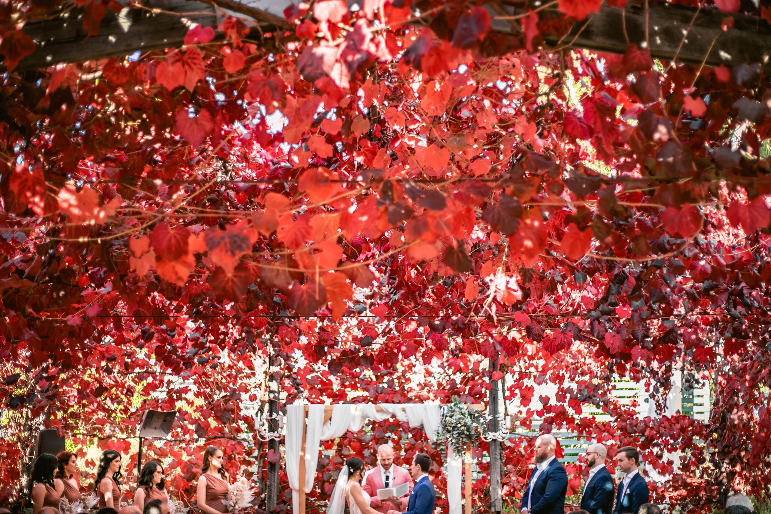 Wedding Diaries — Gomersal Wines