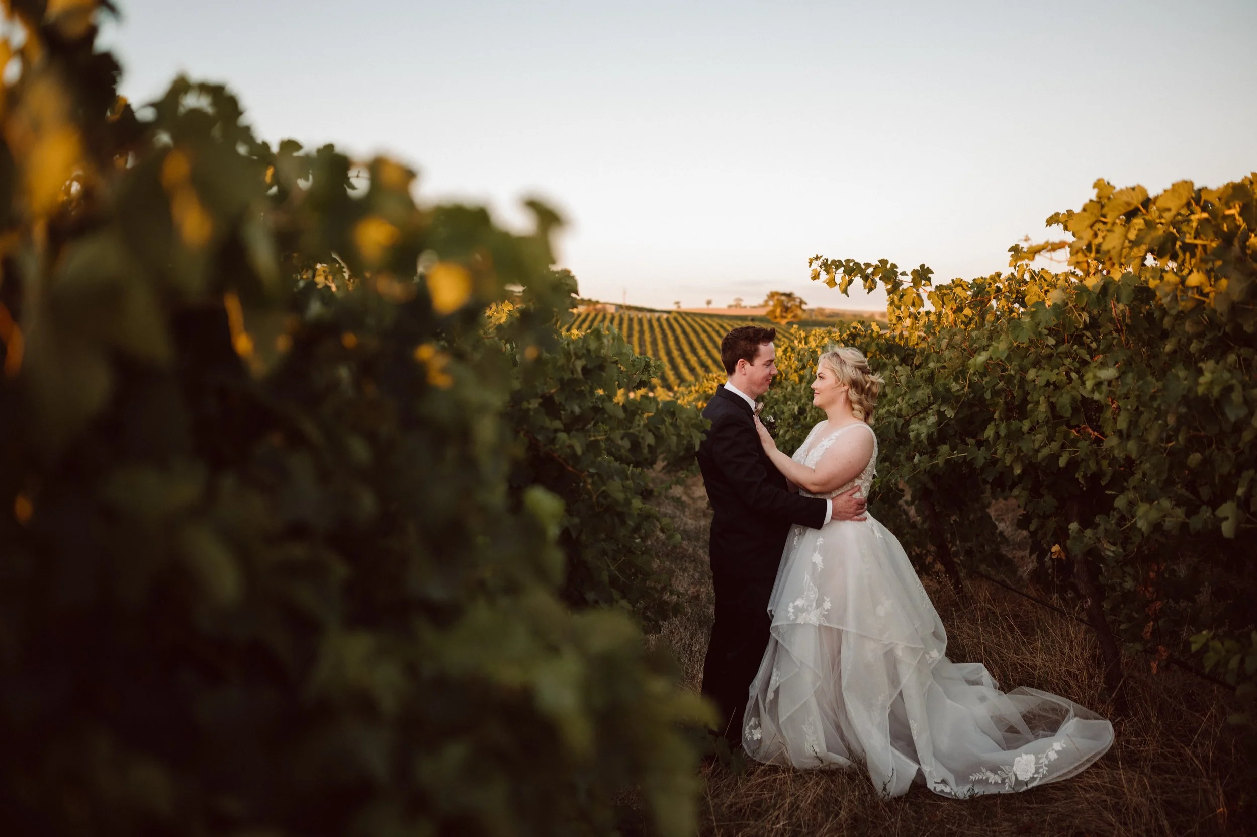 Wedding Diaries: Ashley & Sam — Gomersal Wines