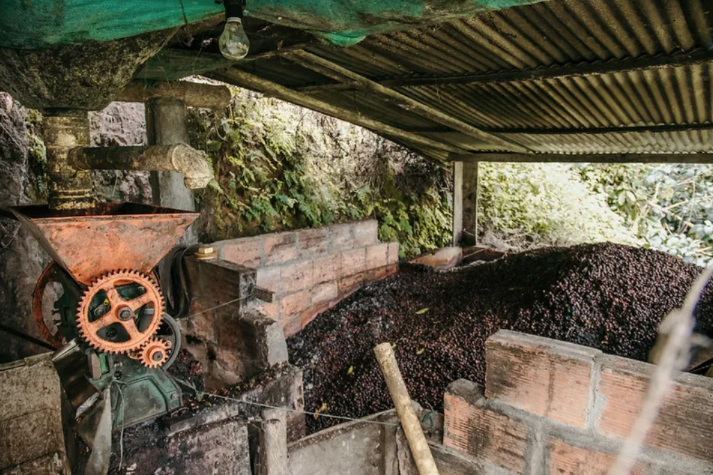 Coffee Shop — Bean Brothers Coffee Company Ltd - Small batch coffee roasters