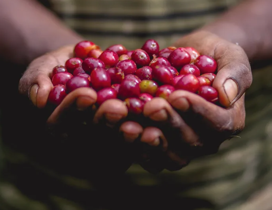 Coffee Shop — Bean Brothers Coffee Company Ltd - Small batch coffee roasters