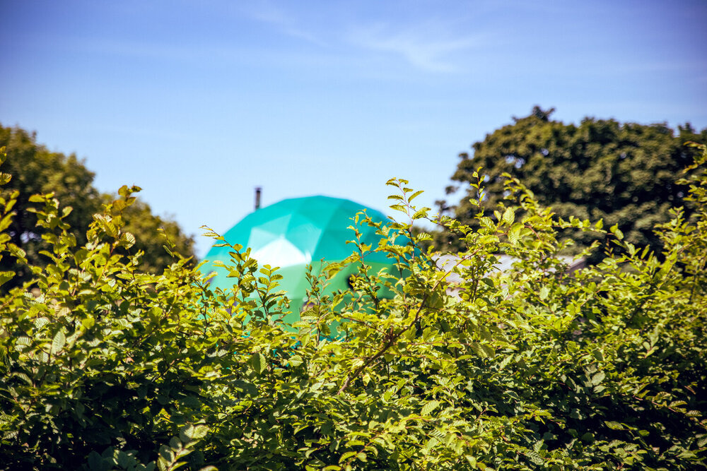 Our Pods — Loveland Farm Eco Retreat in Devon
