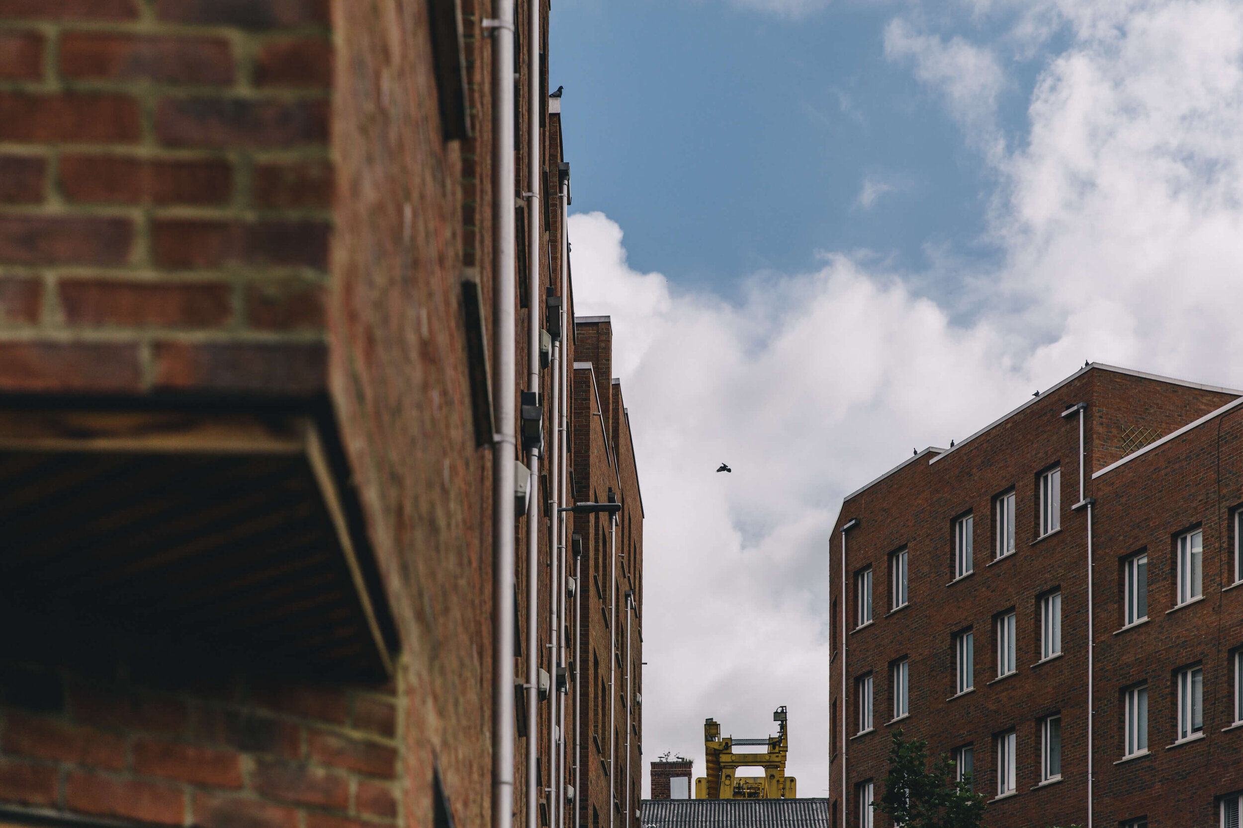 Contact — NORTHERN RYE | Handcrafted, small batch microbakery