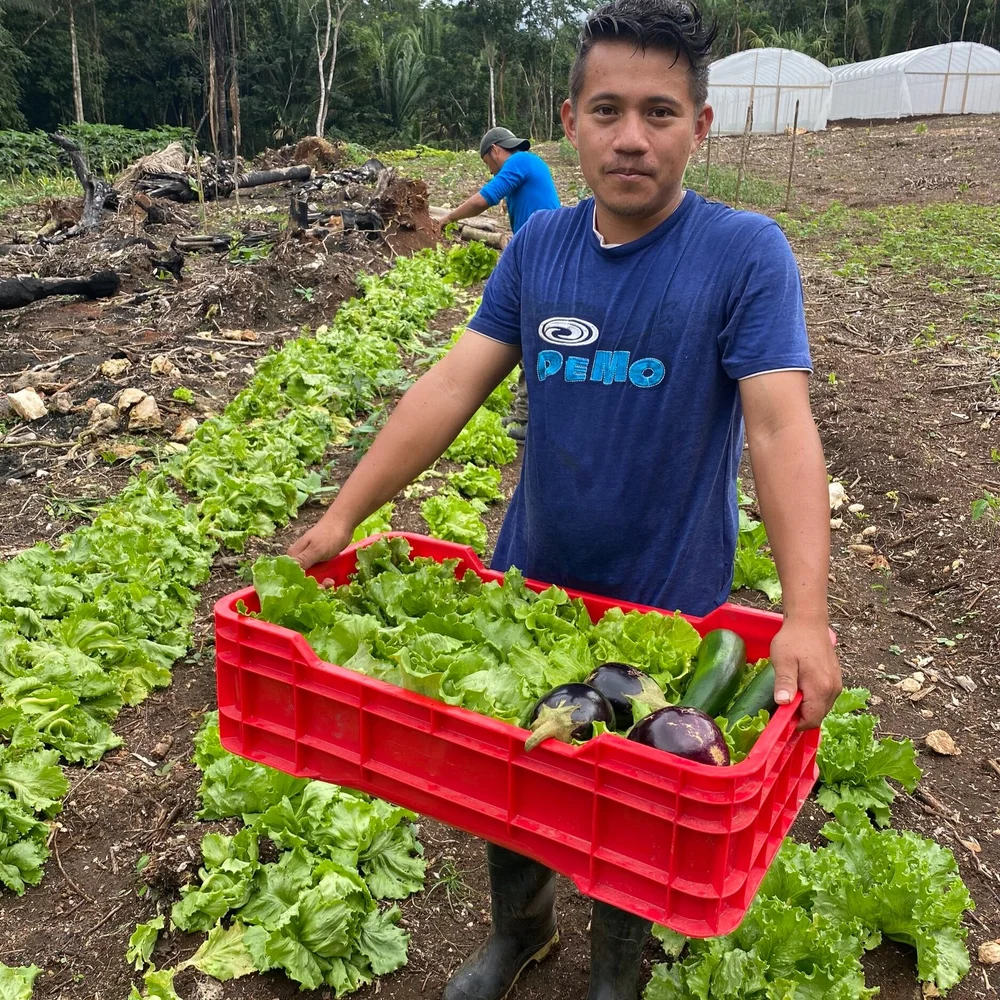 Muy'Ono Farms | Sweet Songs Jungle Lodge | Muy'Ono Resorts