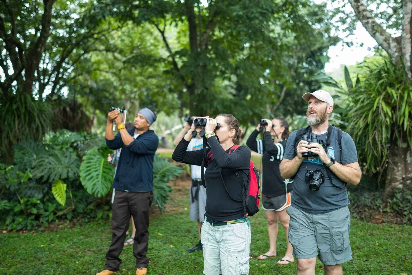 Belize Birding Vacation Package | Sweet Songs Jungle Lodge