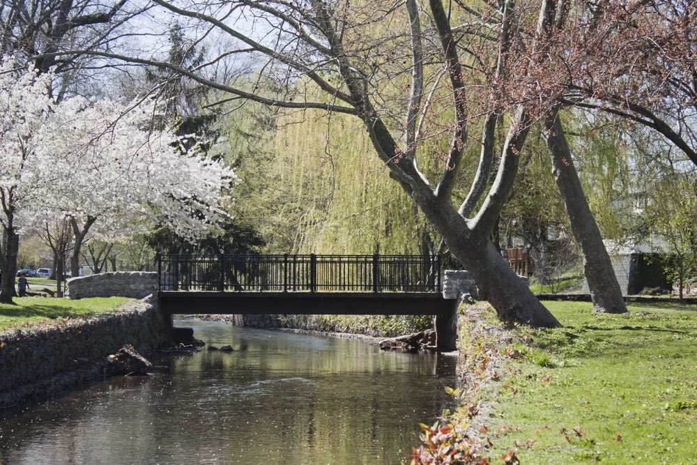 Your Local Town Guide to Nutley, NJ — AMA DESIGNS & INTERIORS