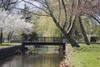 Your Local Town Guide to Nutley, NJ — AMA DESIGNS & INTERIORS