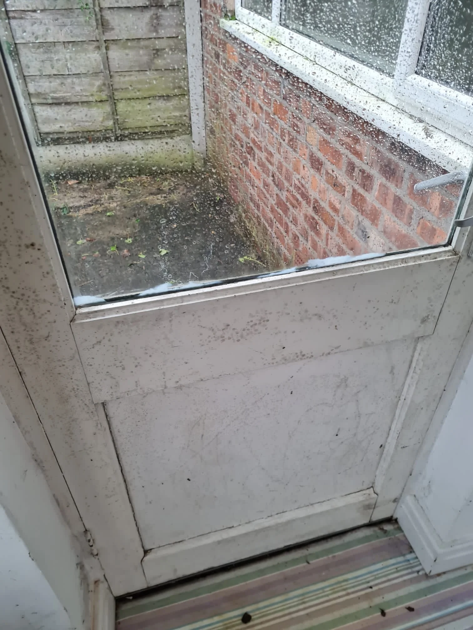 Services — Handy Ladies