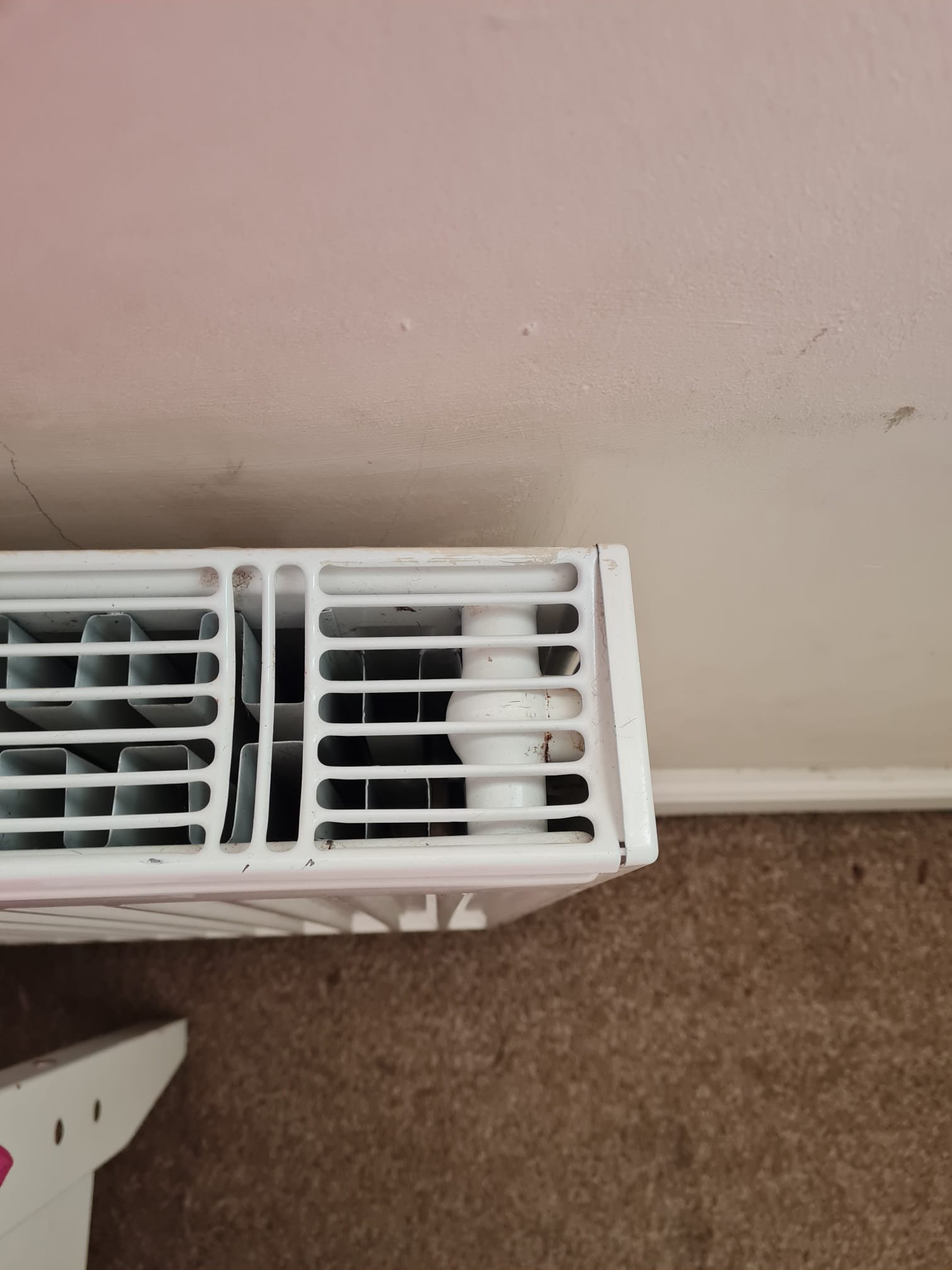 Handy Work — Handy Ladies