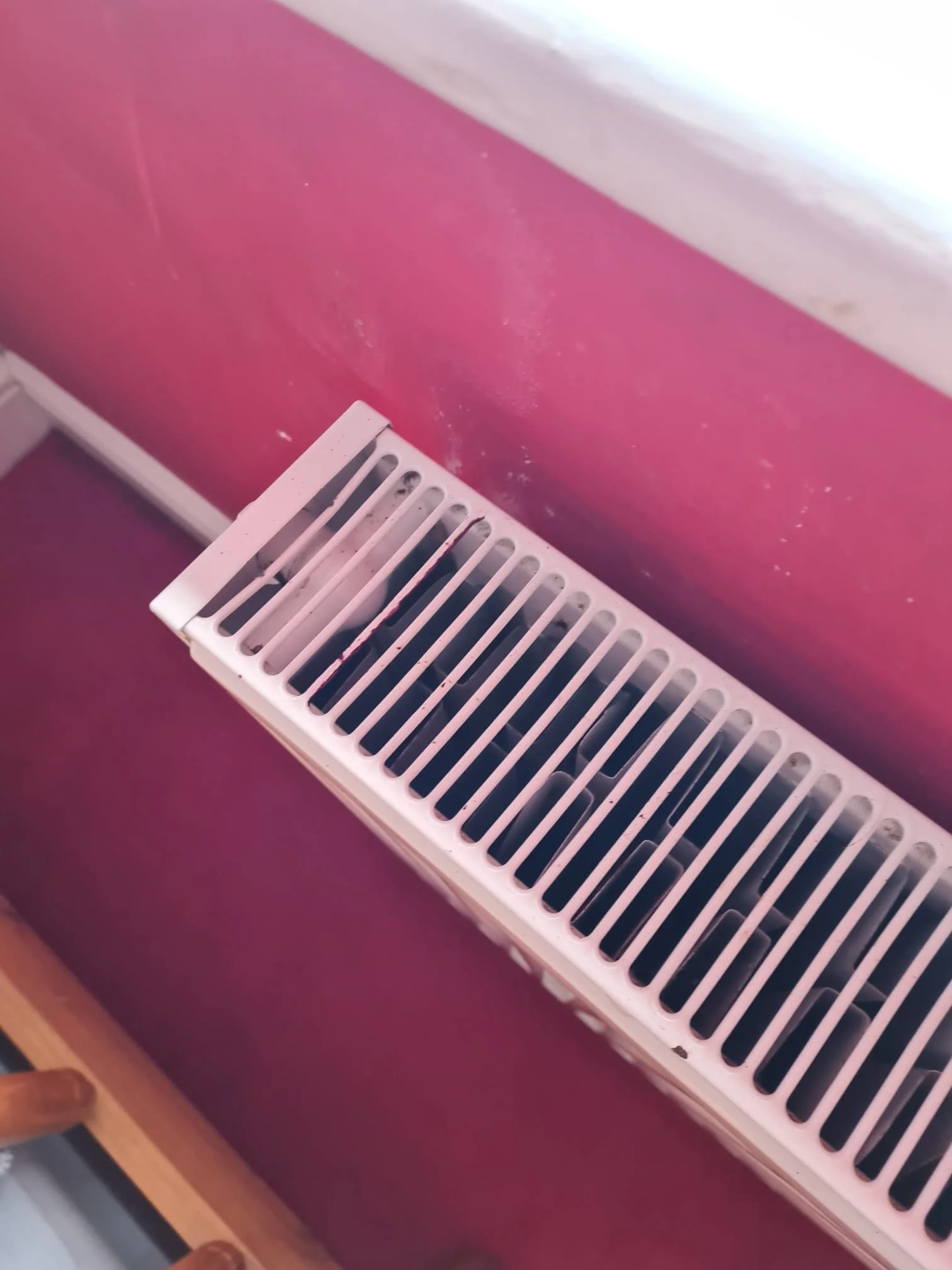 Handy Work — Handy Ladies