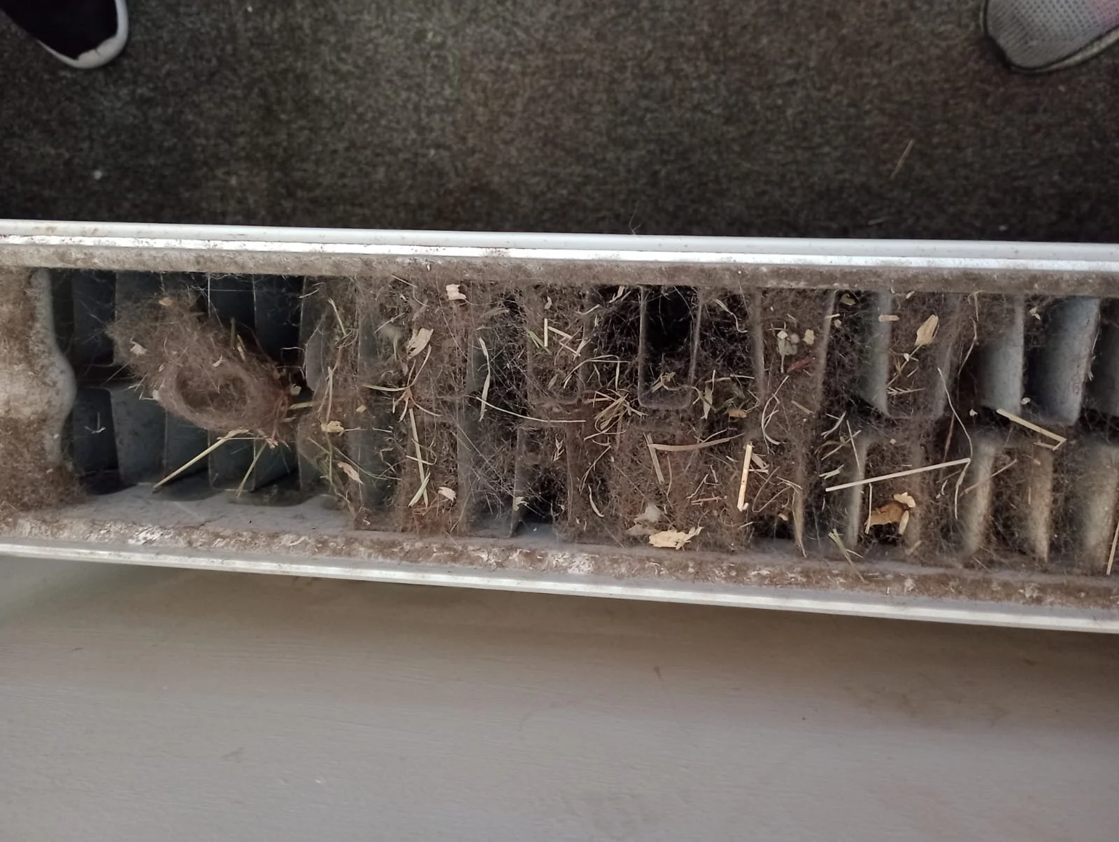 Handy Work — Handy Ladies