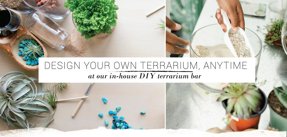 Modern Terrarium Bar