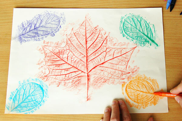 Resources - Educational Resources — Trees For Houston