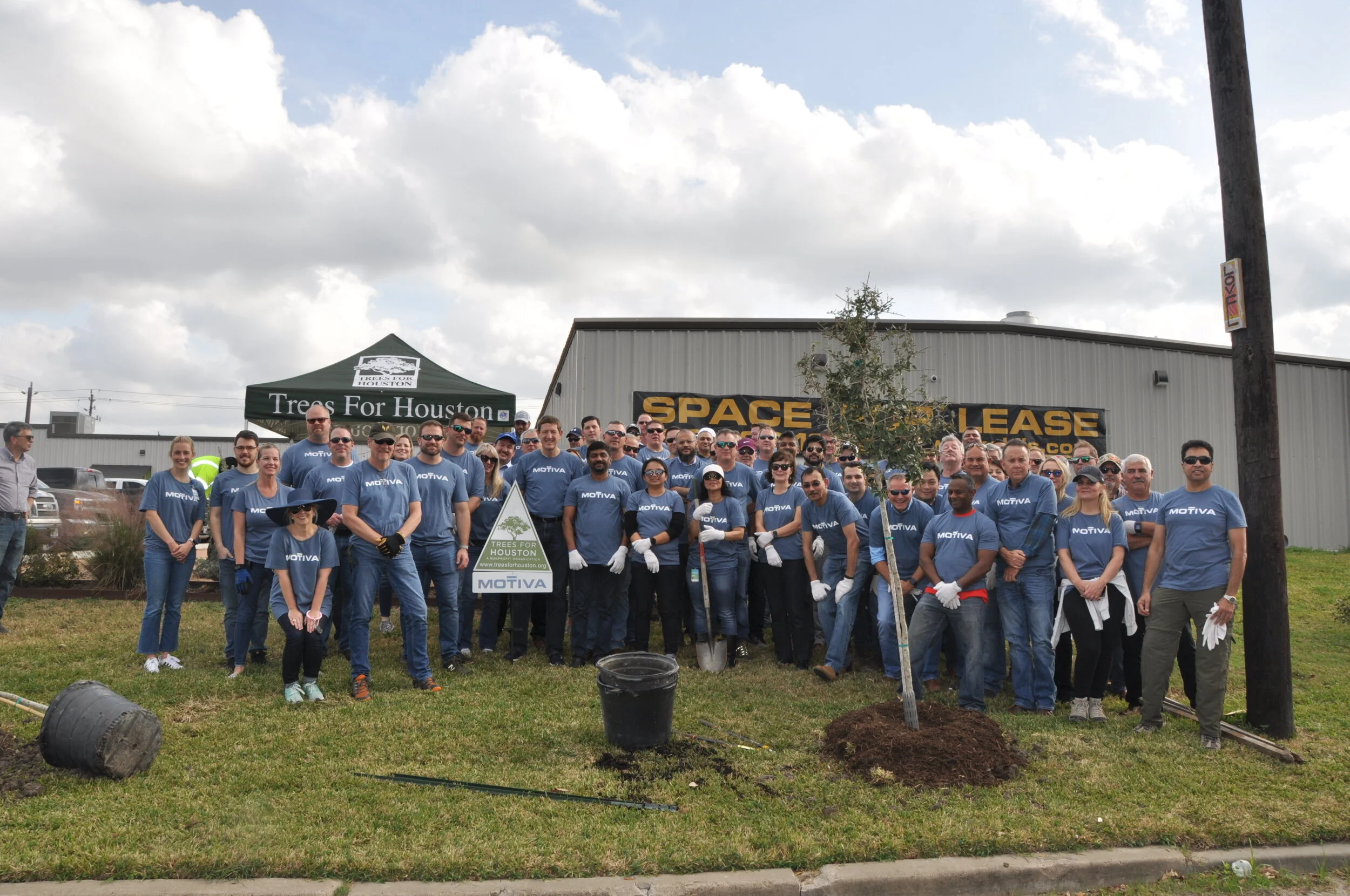 Corporate Volunteering — Trees For Houston