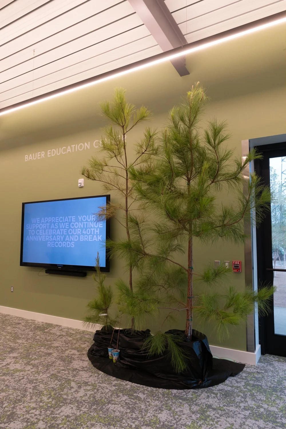 New Kinder Campus — Trees For Houston