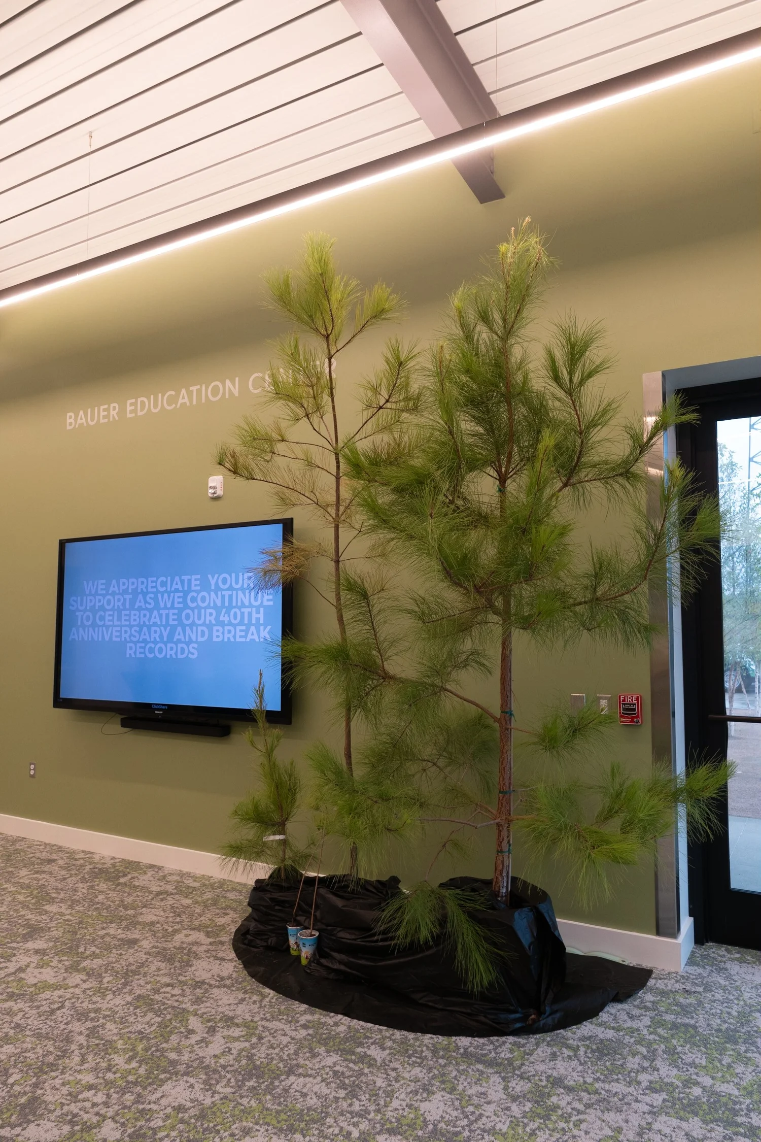 New Kinder Campus — Trees For Houston