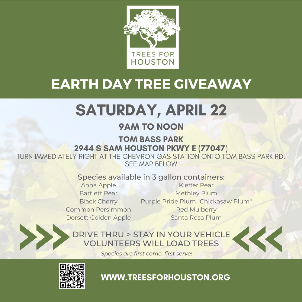 Earth Day Tree Giveaway — Trees For Houston